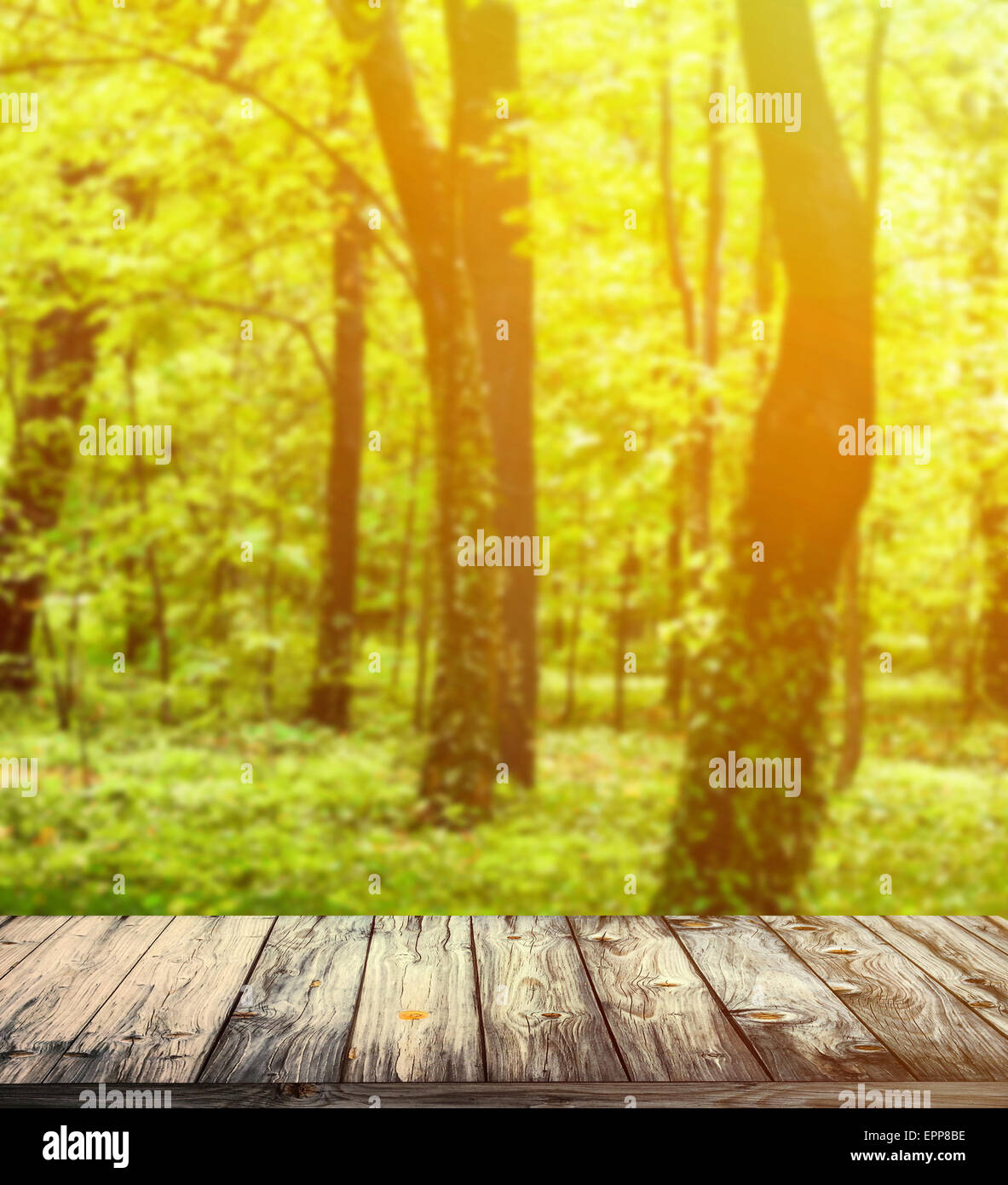 Beautiful forest and wooden floor background Stock Photo - Alamy