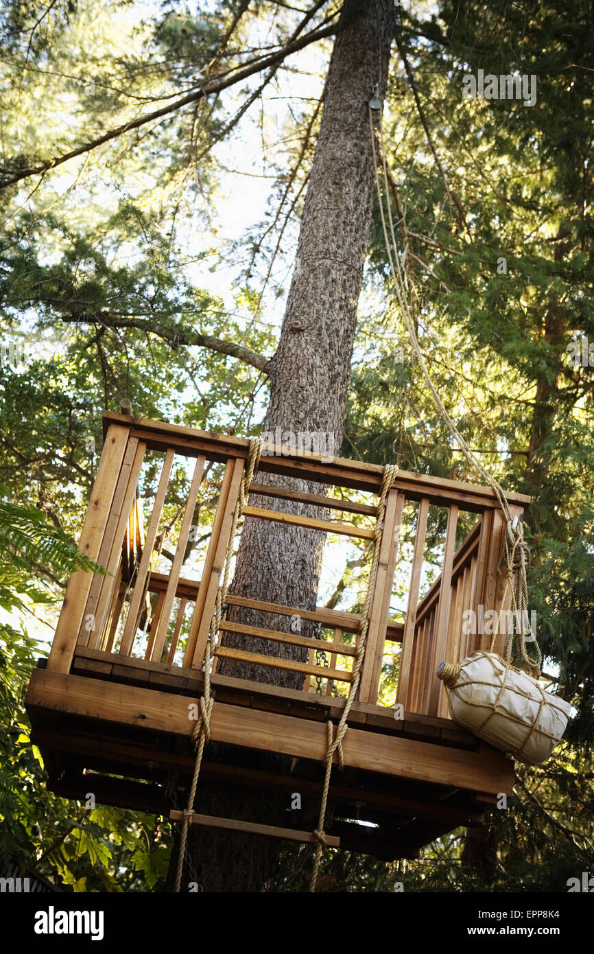 Low angle view, looking up at a tree house Stock Photo - Alamy