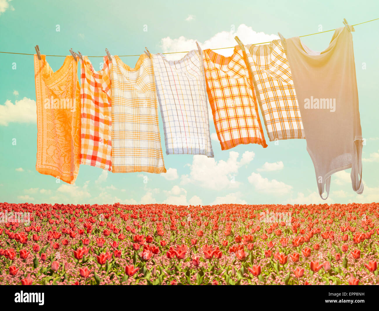 Laundry hanging over flower field Stock Photo - Alamy