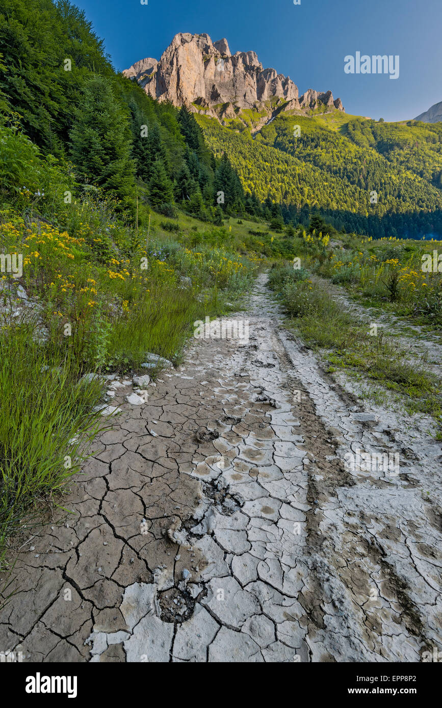 Shar planina hi-res stock photography and images - Alamy