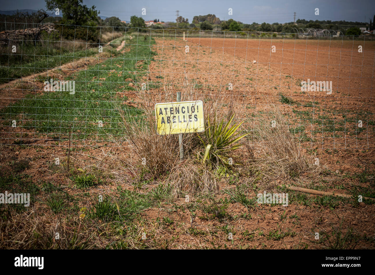 Santa Oliva High Resolution Stock Photography and Images - Alamy