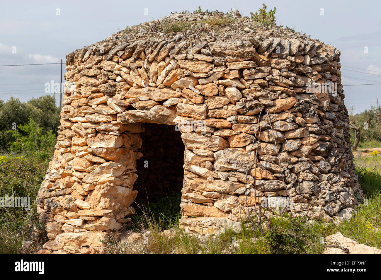 Santa oliva hi-res stock photography and images - Alamy