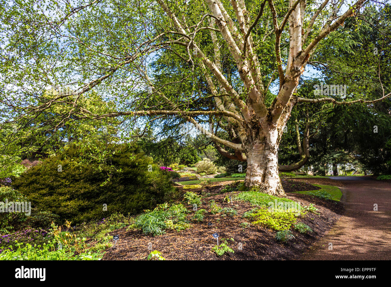 Beautiful, botanic garden in Spring Stock Photo - Alamy