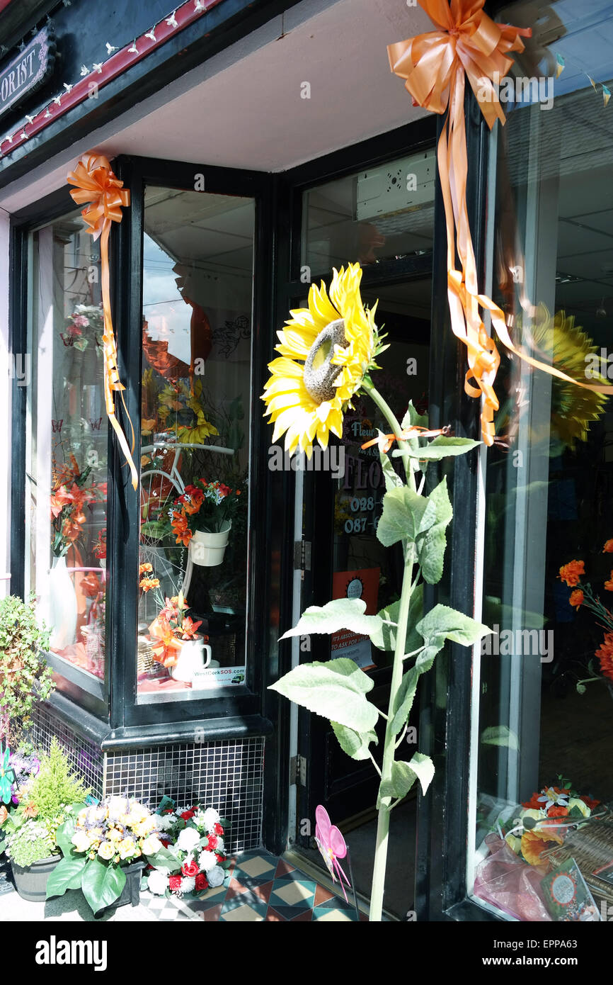 shop front skibbereen county cork ireland Stock Photo - Alamy
