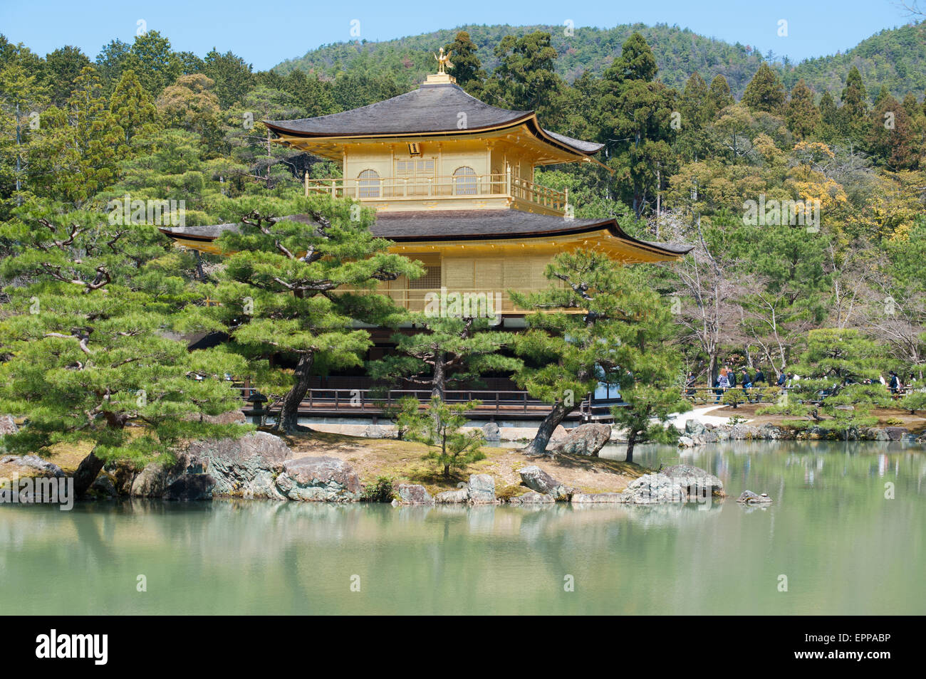 Kinkaku-ji temple, the golden temple of Kyoto, Japan during a sunny day ...