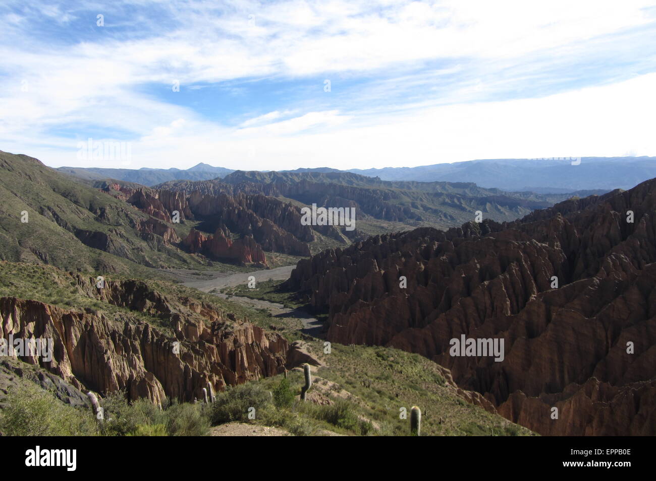 Mountains of Bolivia, altiplano, desert and green landscapes, trees and ...