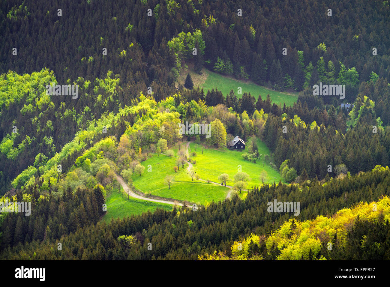 Sunset on mountain Lysa Hora at mountains Beskydy, Moravia, Czech ...