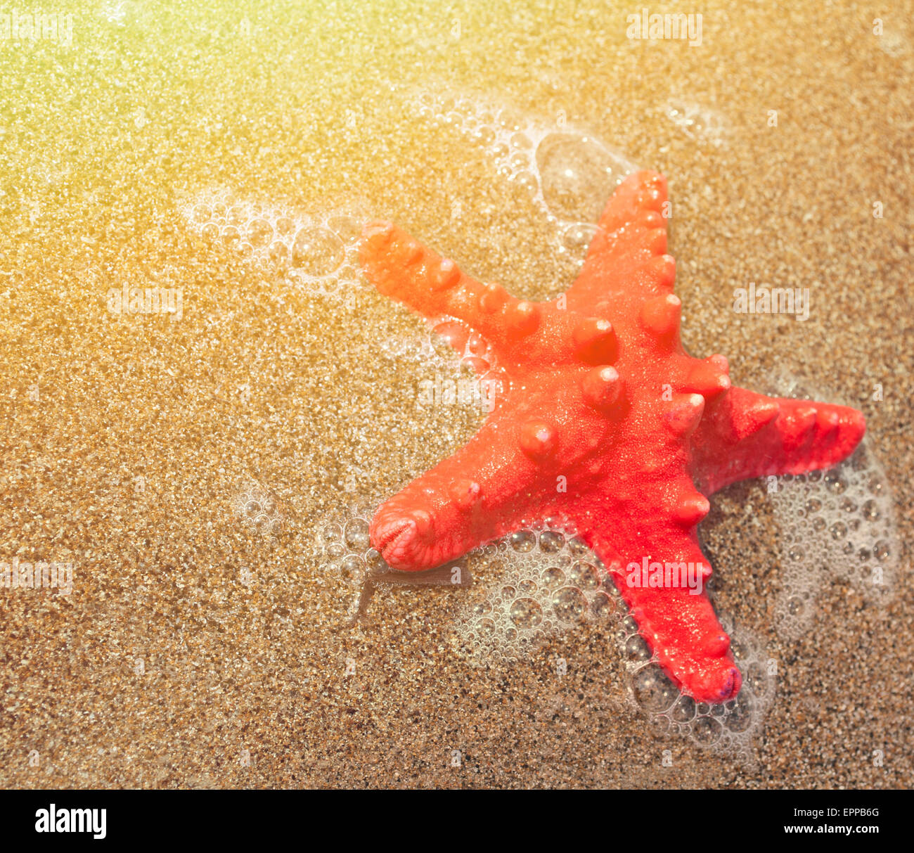 Red starfish and sea wave Stock Photo - Alamy