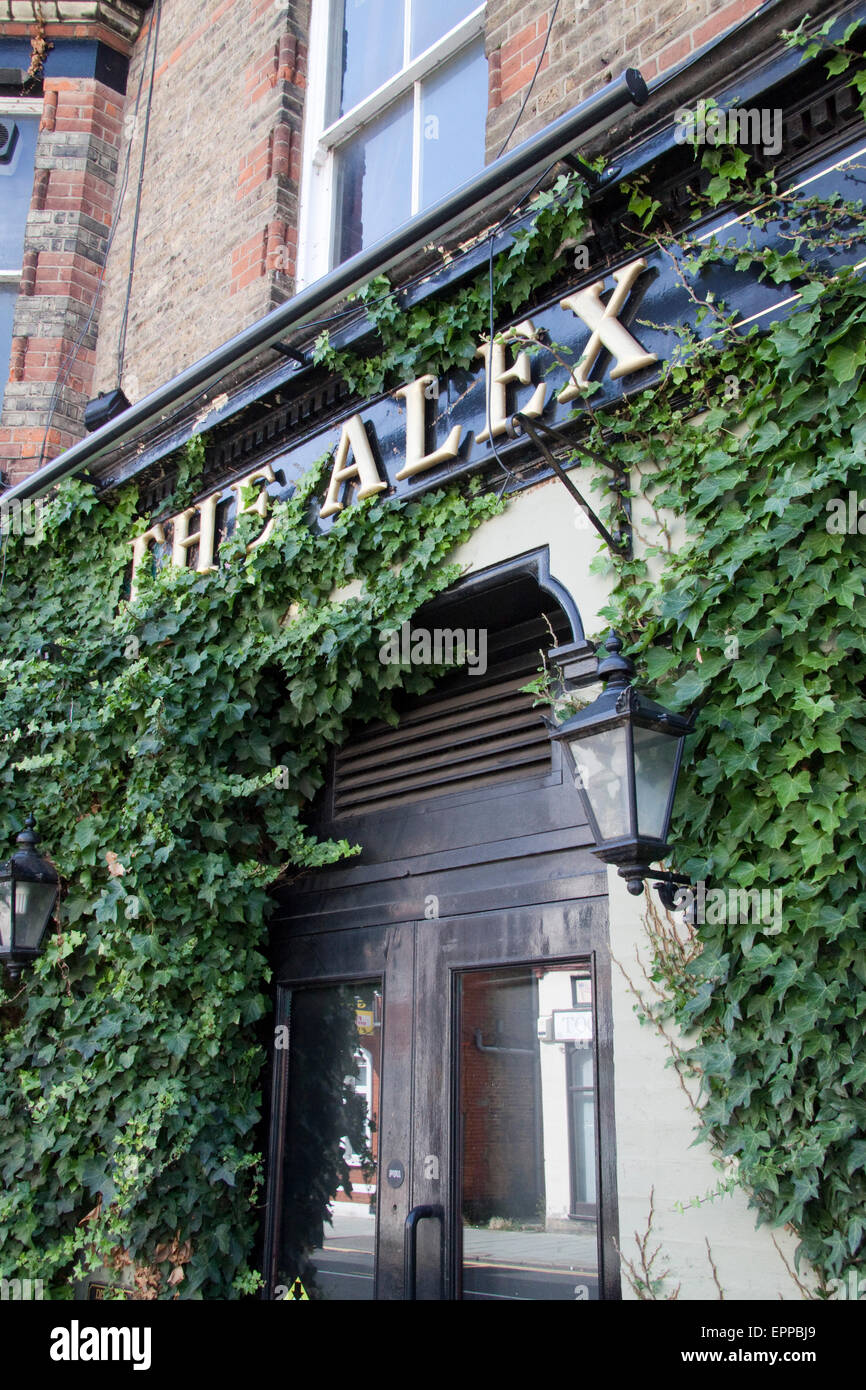 Ivy covered front of The Alex pub in Southend Stock Photo - Alamy