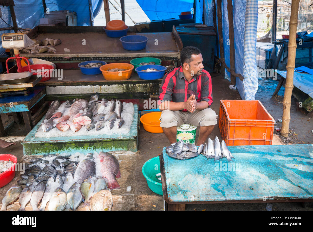A local fisherman stallholder selling his catch sitting at a market ...