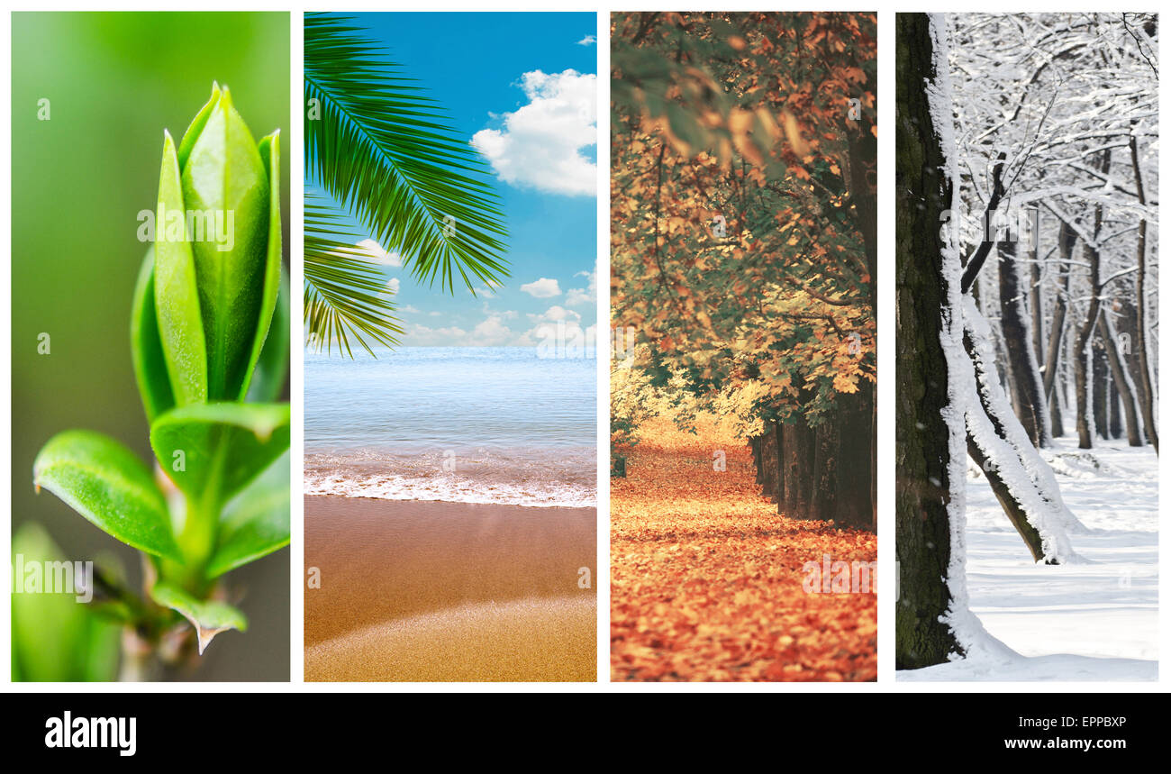 4 seasons collage hi-res stock photography and images - Alamy