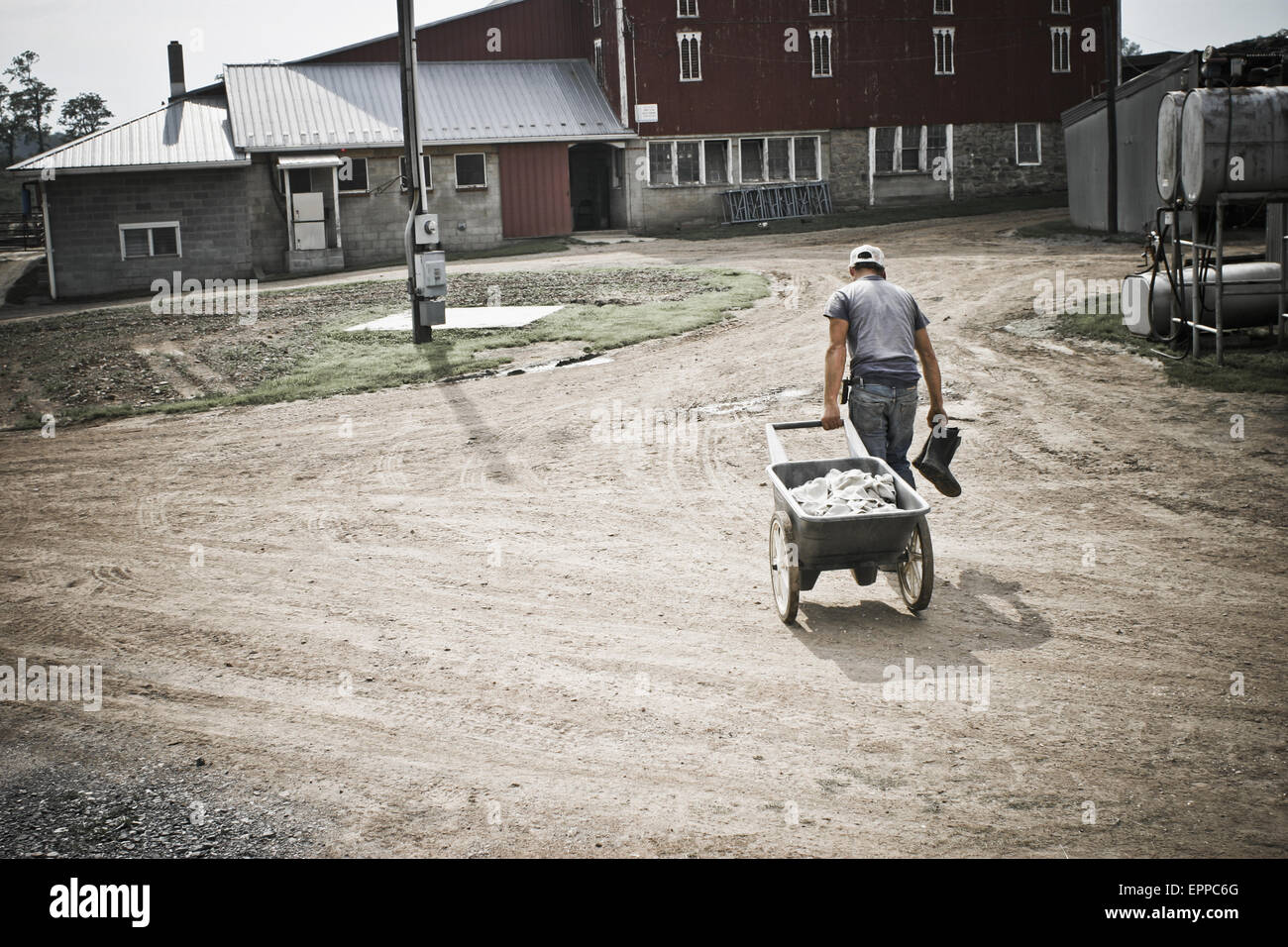 Jewish Wheelbarrow Walk