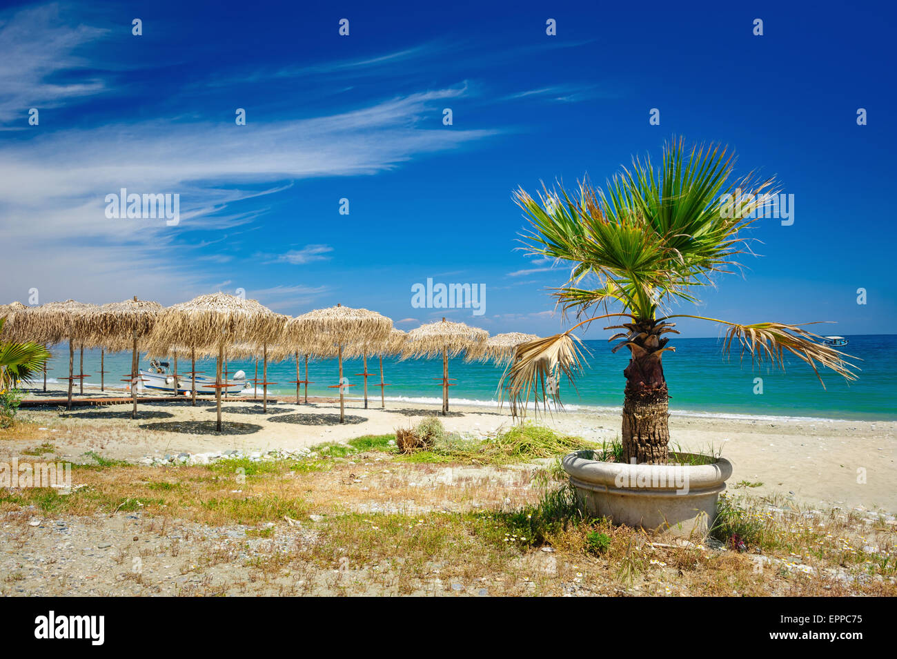 Reed umbrellas on the beach Stock Photo - Alamy