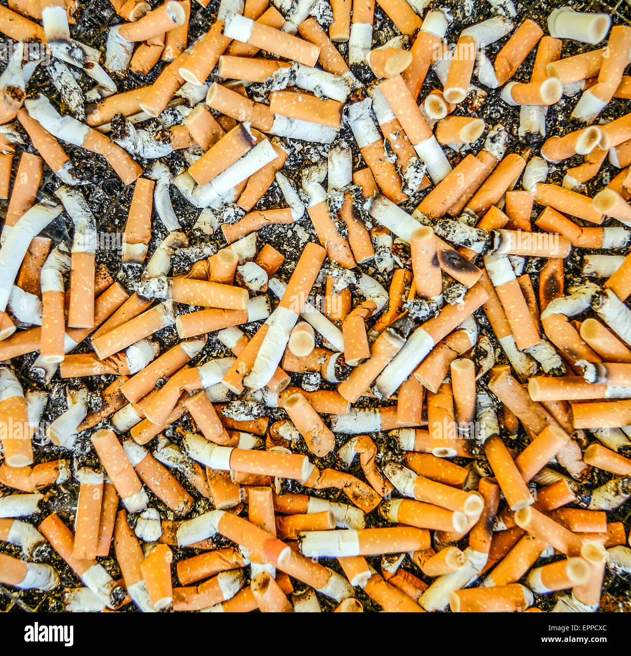 Smoked cigarettes butts in a dirty ashtray Stock Photo - Alamy