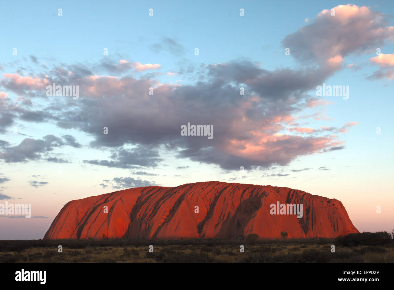 Ayers Rock (Uluru) at sunset Stock Photo - Alamy