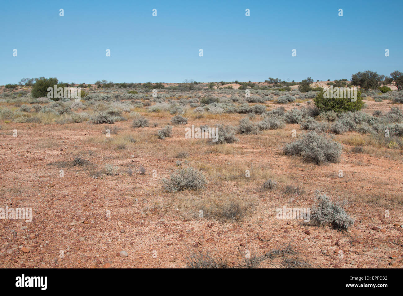 Grassland australia hi-res stock photography and images - Alamy