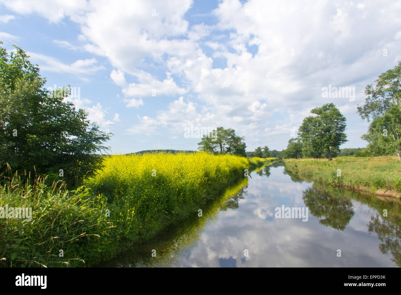 A stream goes off into the distance of this beautiful wilderness shot ...