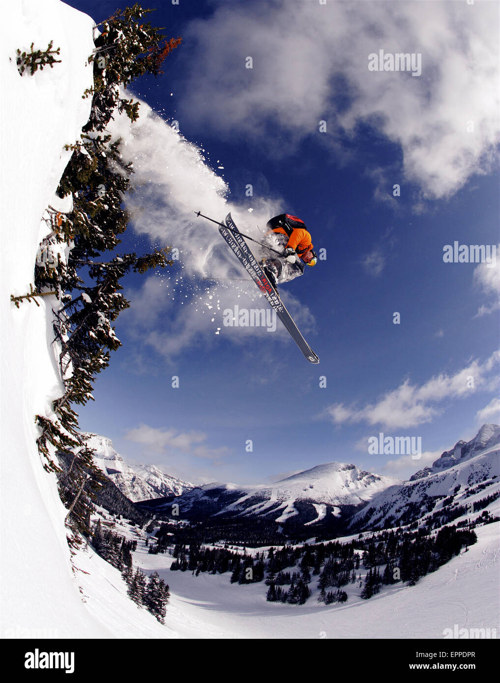 A skier surgically splits the trees and catches some bluebird canadian ...