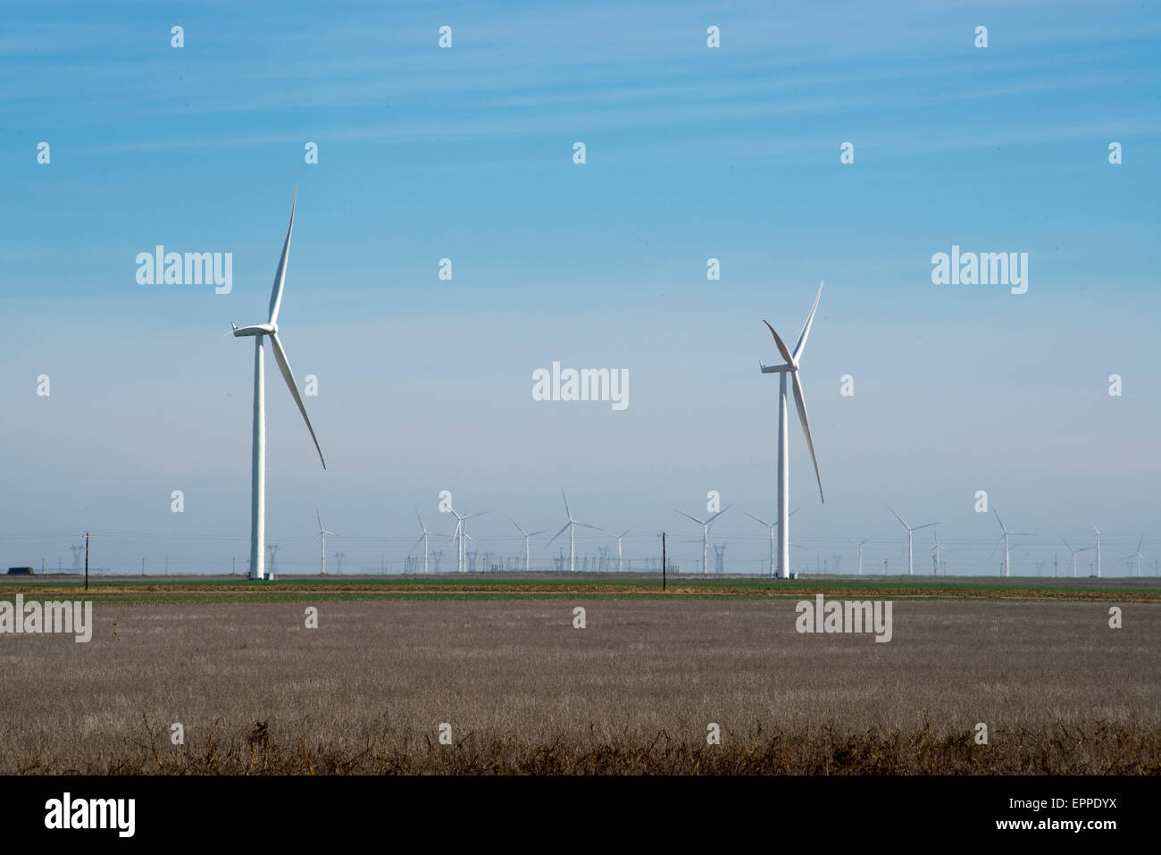 Ingalls, Kansas, WInd turbines and Milo fields Stock Photo - Alamy