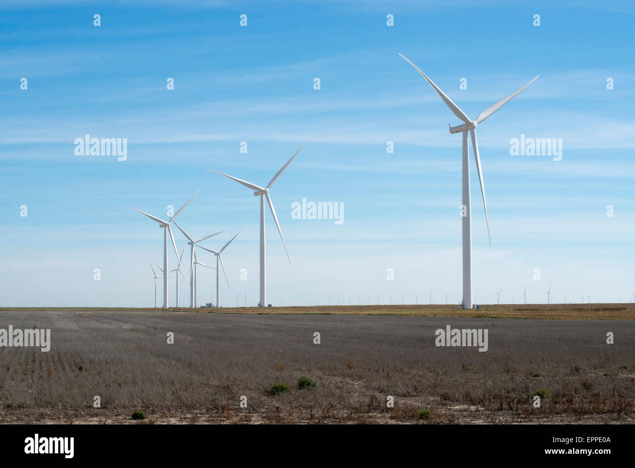 Ingalls, Kansas, WInd turbines and Milo fields Stock Photo - Alamy