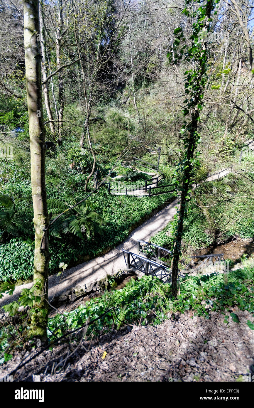 Pleasant walkways punctuate the wooded valley of Shanklin Chine, Isle ...