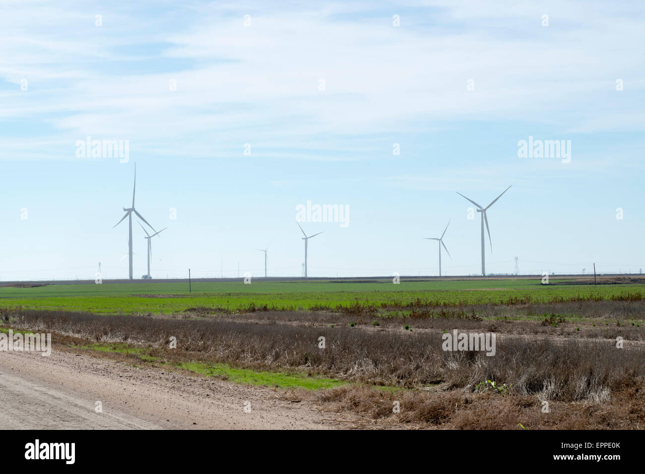 Ingalls, Kansas, WInd turbines and Milo fields Stock Photo - Alamy