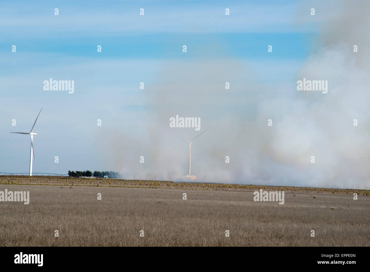 Ingalls, Kansas, WInd turbines and Milo fields Stock Photo - Alamy