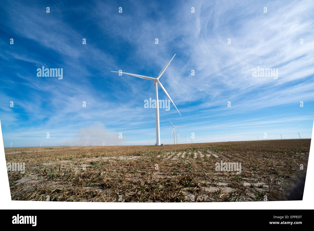 Ingalls, Kansas, WInd turbines and Milo fields Stock Photo - Alamy