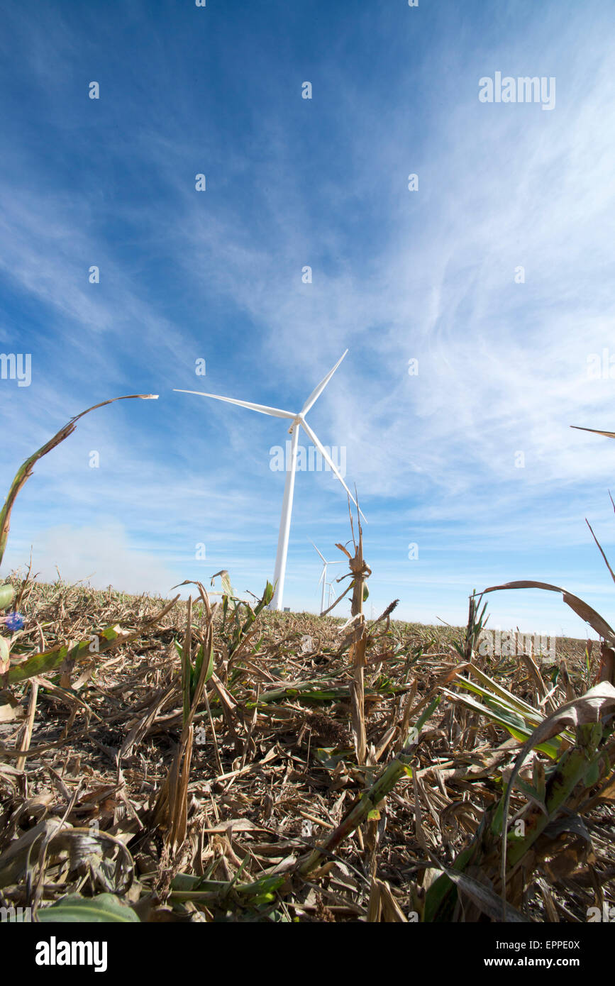 Ingalls, Kansas, WInd turbines and Milo fields Stock Photo - Alamy