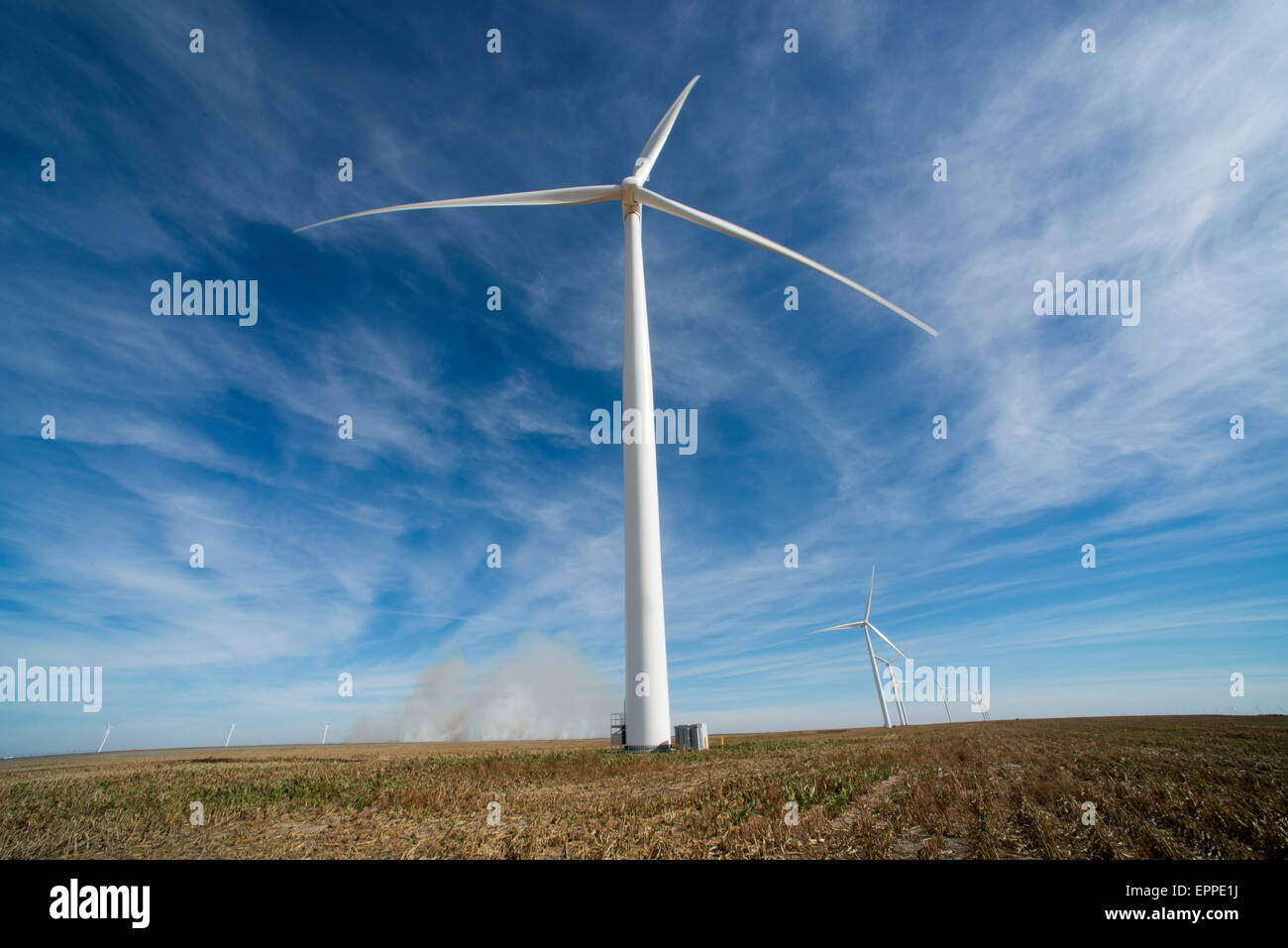 Ingalls, Kansas, WInd turbines and Milo fields Stock Photo - Alamy