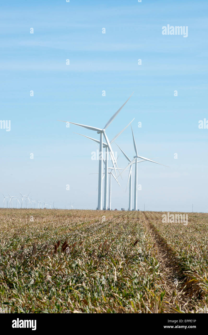 Ingalls, Kansas, WInd turbines and Milo fields Stock Photo - Alamy