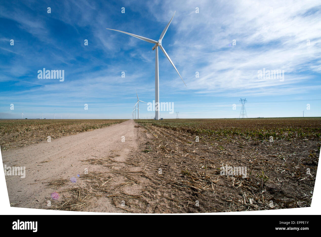 Ingalls, Kansas, WInd turbines and Milo fields Stock Photo - Alamy