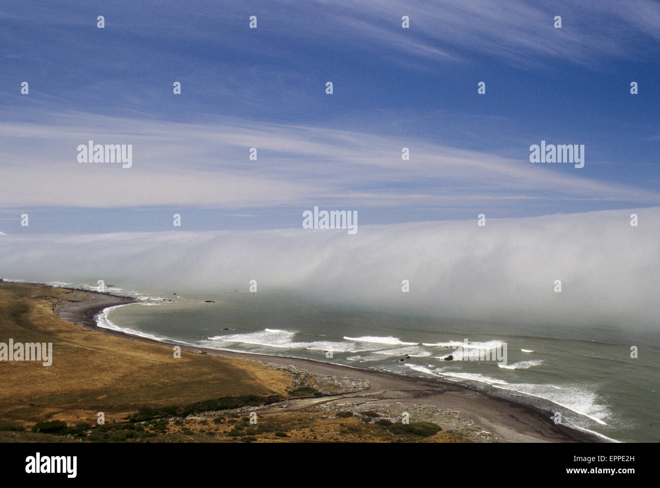 Pacific ocean rolls in on beach hi-res stock photography and images - Alamy