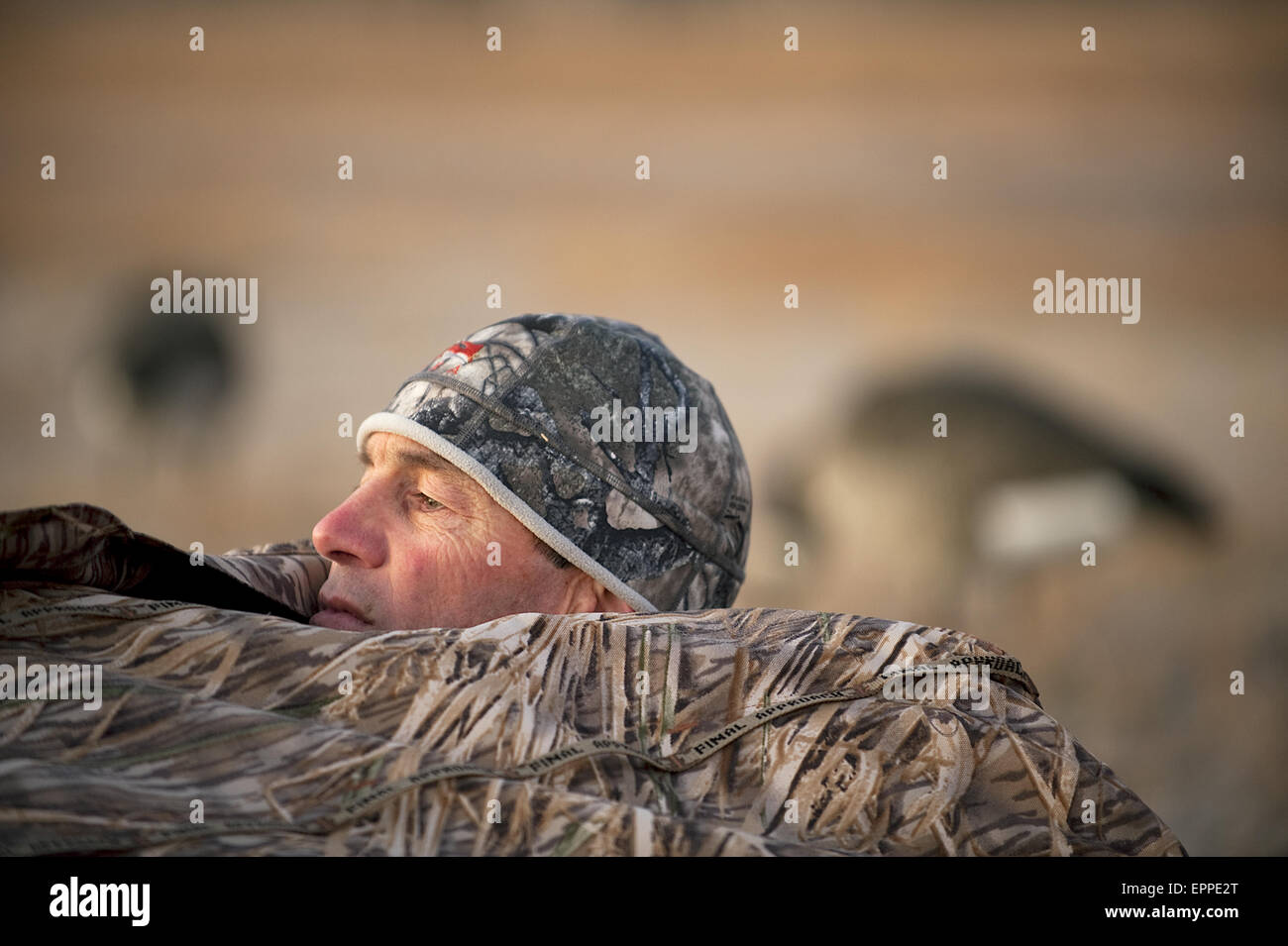 A hunter pokes his head out of a blind while hunting geese in Carson ...