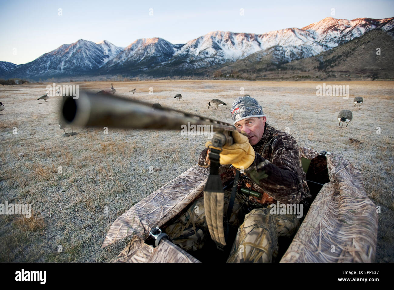 Hunter rifle hi-res stock photography and images - Alamy