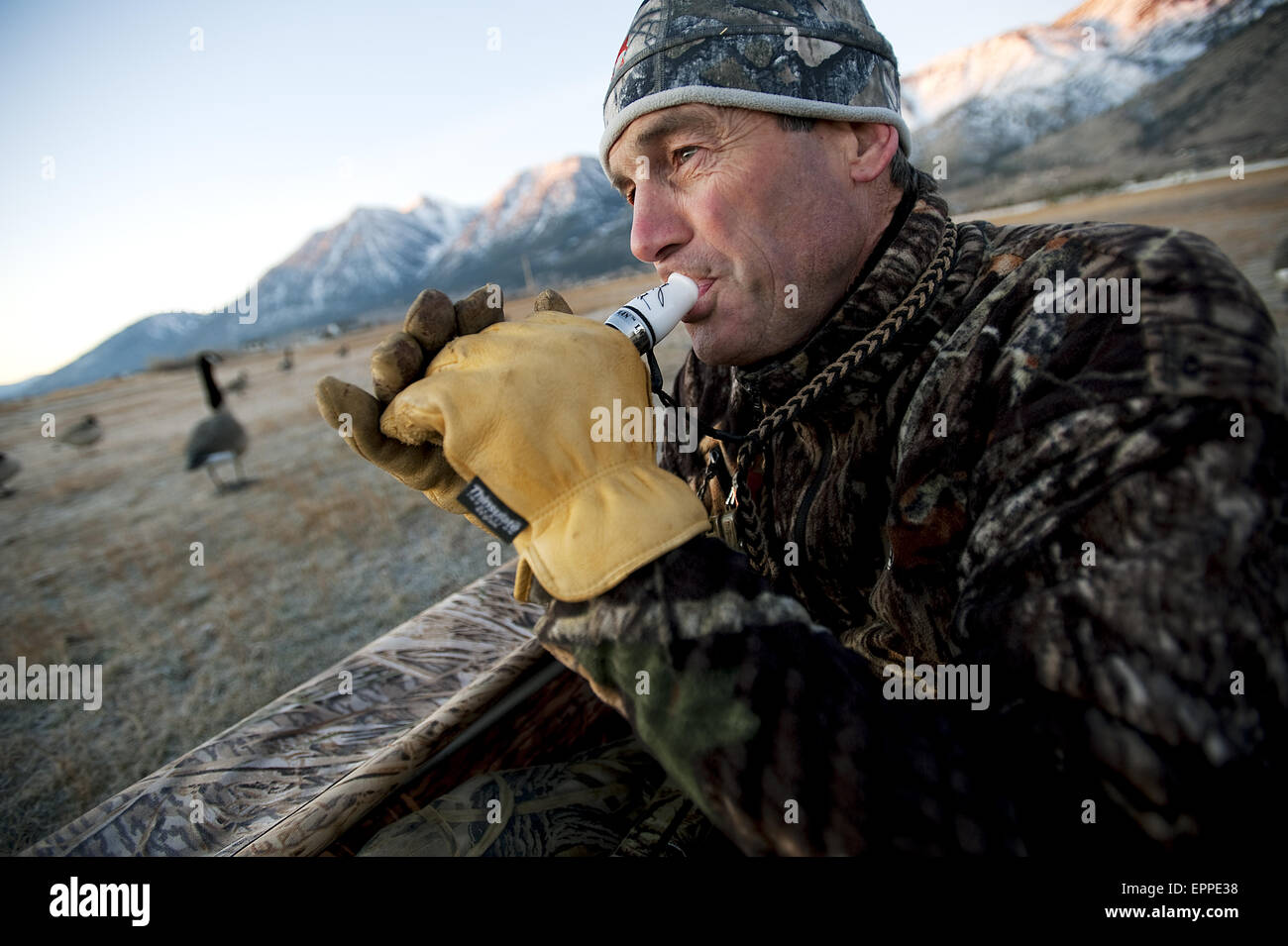 Geese hunting hi-res stock photography and images - Alamy
