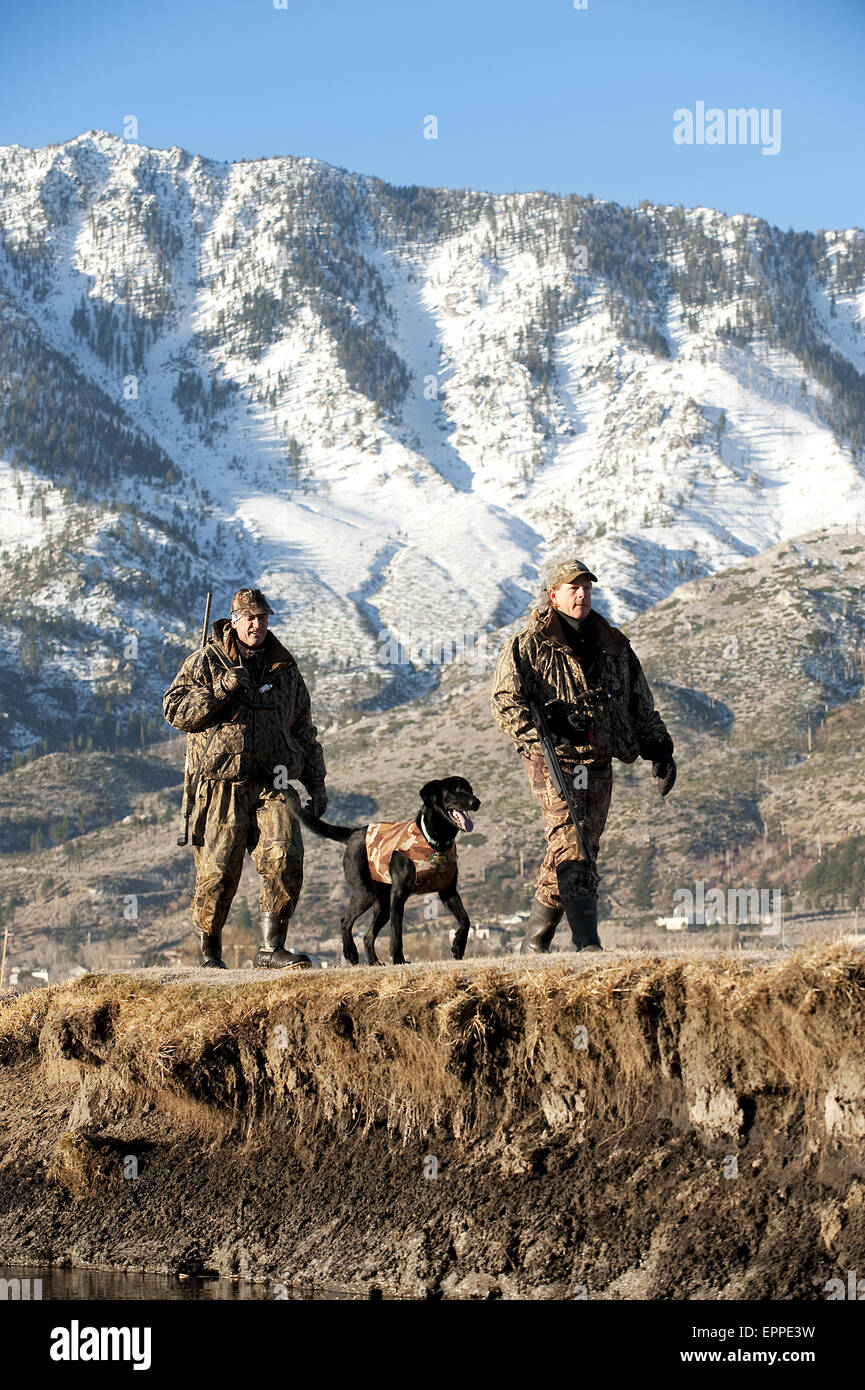 Hunters dog hi-res stock photography and images - Alamy