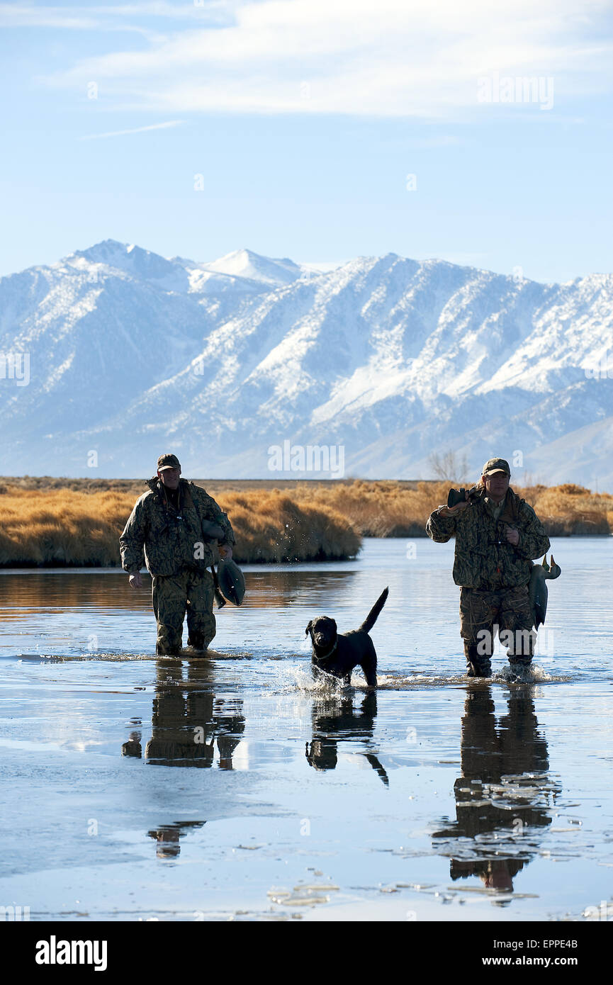 Two hunters wading hi-res stock photography and images - Alamy