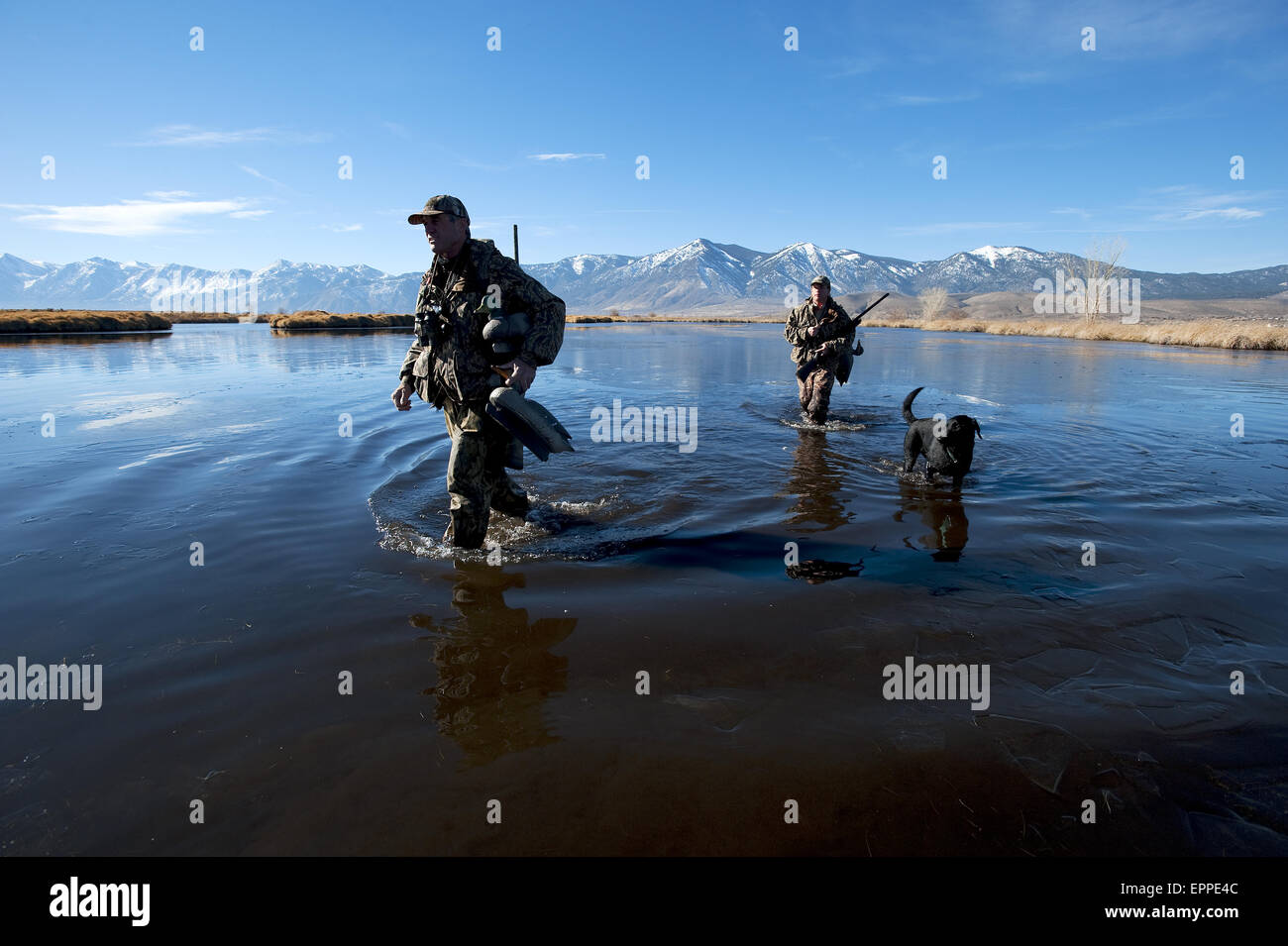 Two hunters track ducks with their dog in Nevada Stock Photo - Alamy