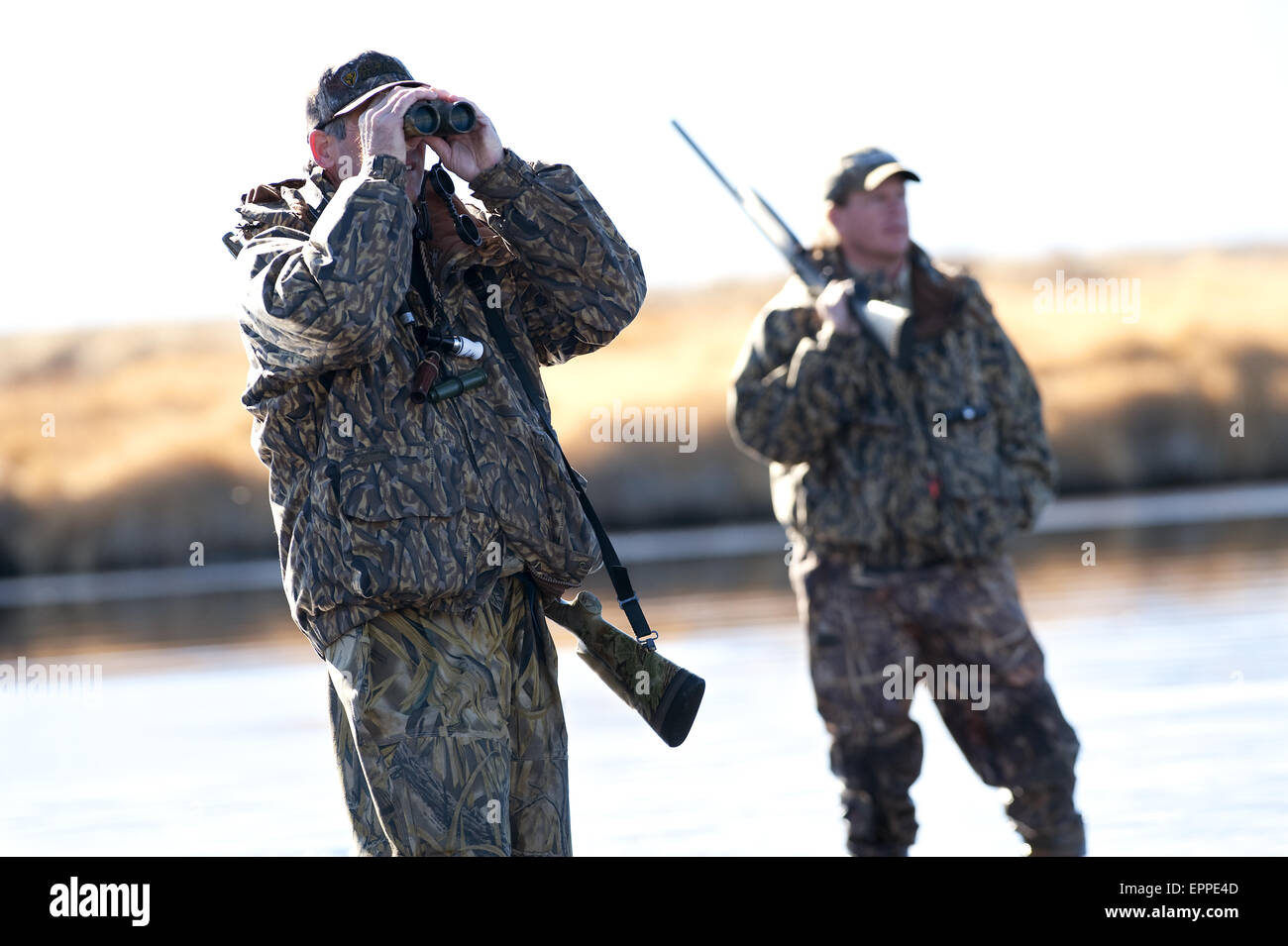 Two hunters track ducks in Nevada Stock Photo - Alamy