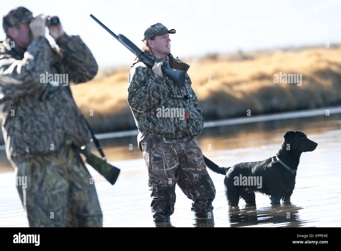 Two hunters track ducks with their dog in Nevada Stock Photo - Alamy