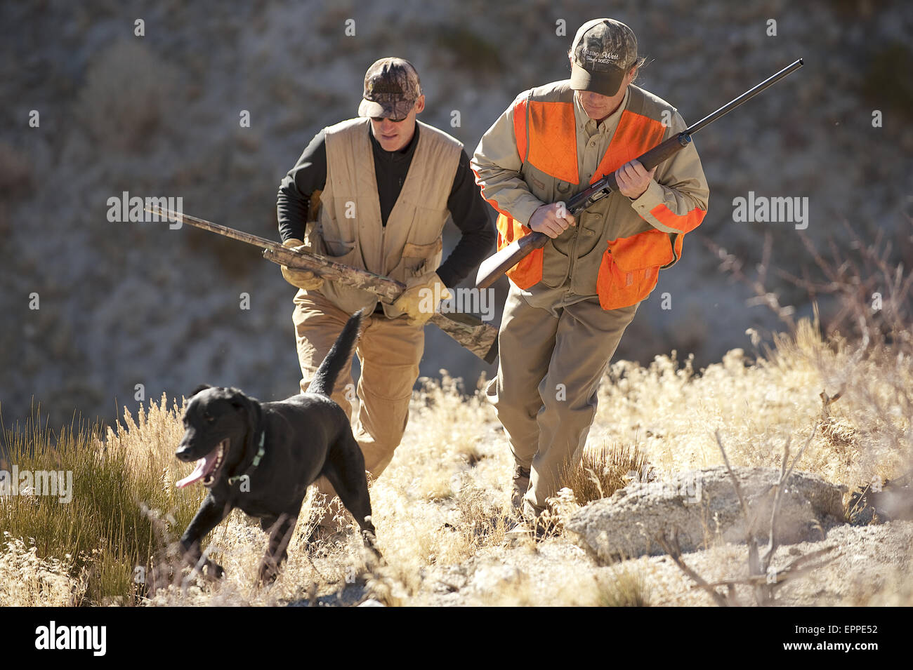 Chukar Hunting