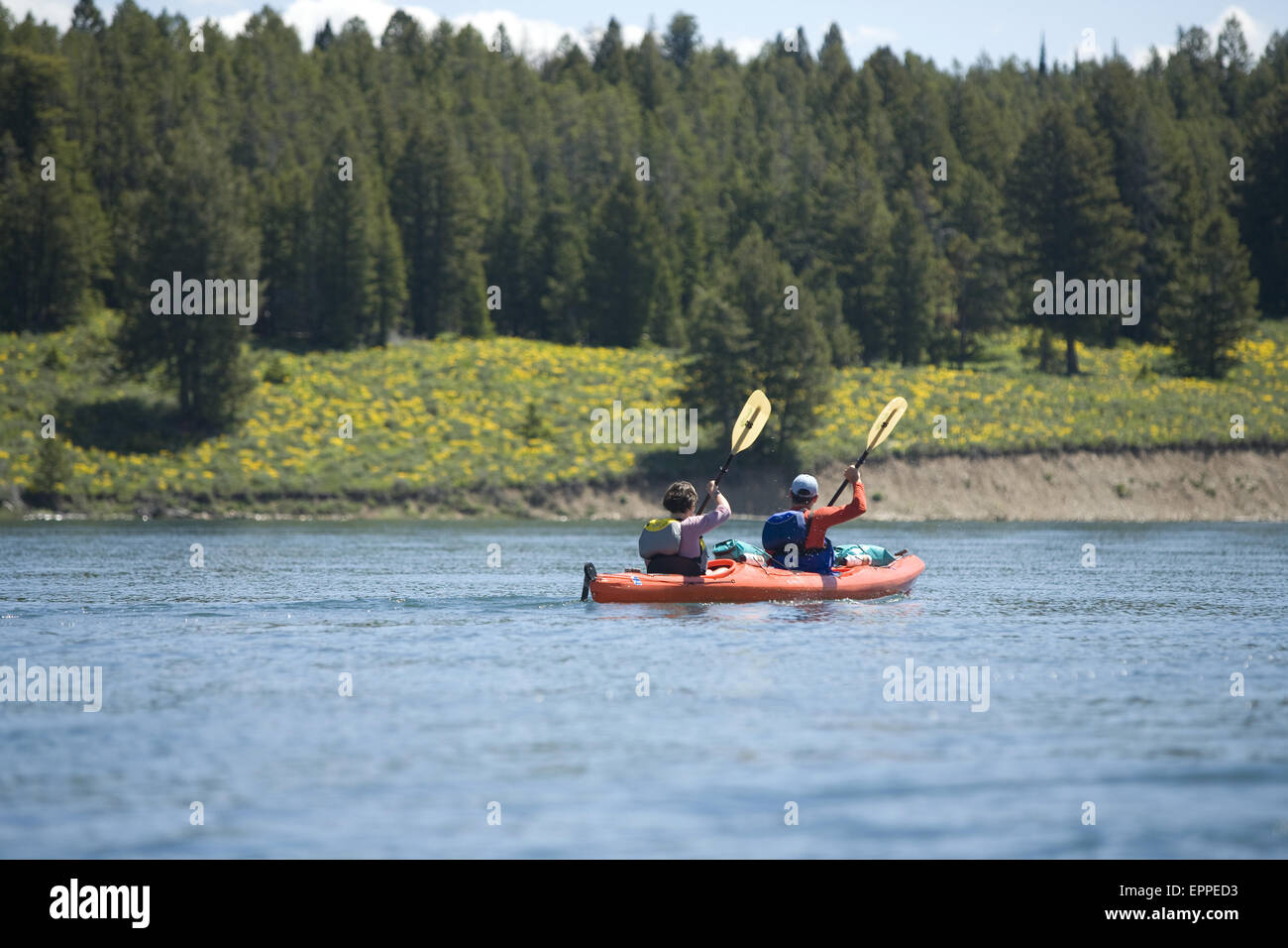Kayaking on Jackson Lake. Grand Teton National Park, WY Stock Photo - Alamy