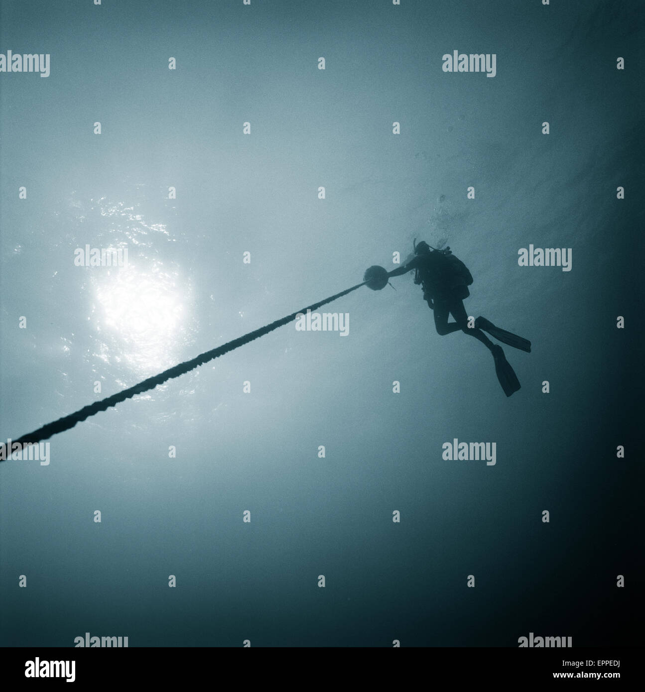 Lone diver hi-res stock photography and images - Alamy