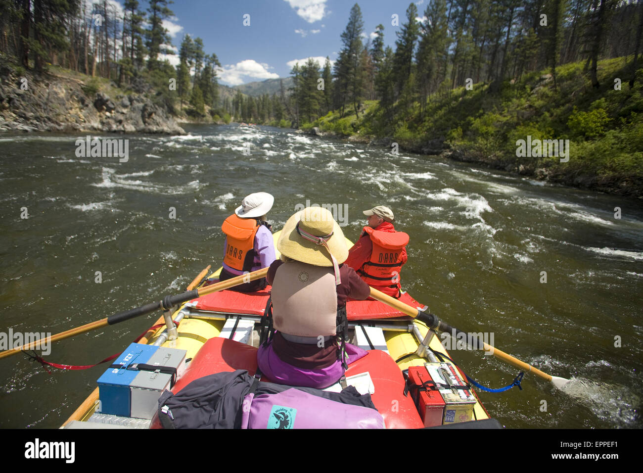 Rafting the Middle Fork of the Salmon River, ID Stock Photo - Alamy