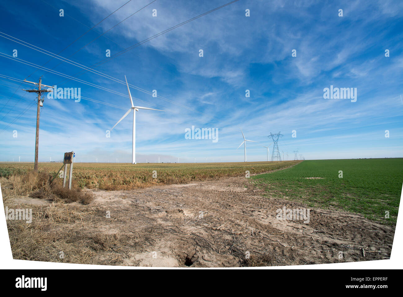 Ingalls, Kansas, WInd turbines and Milo fields Stock Photo - Alamy