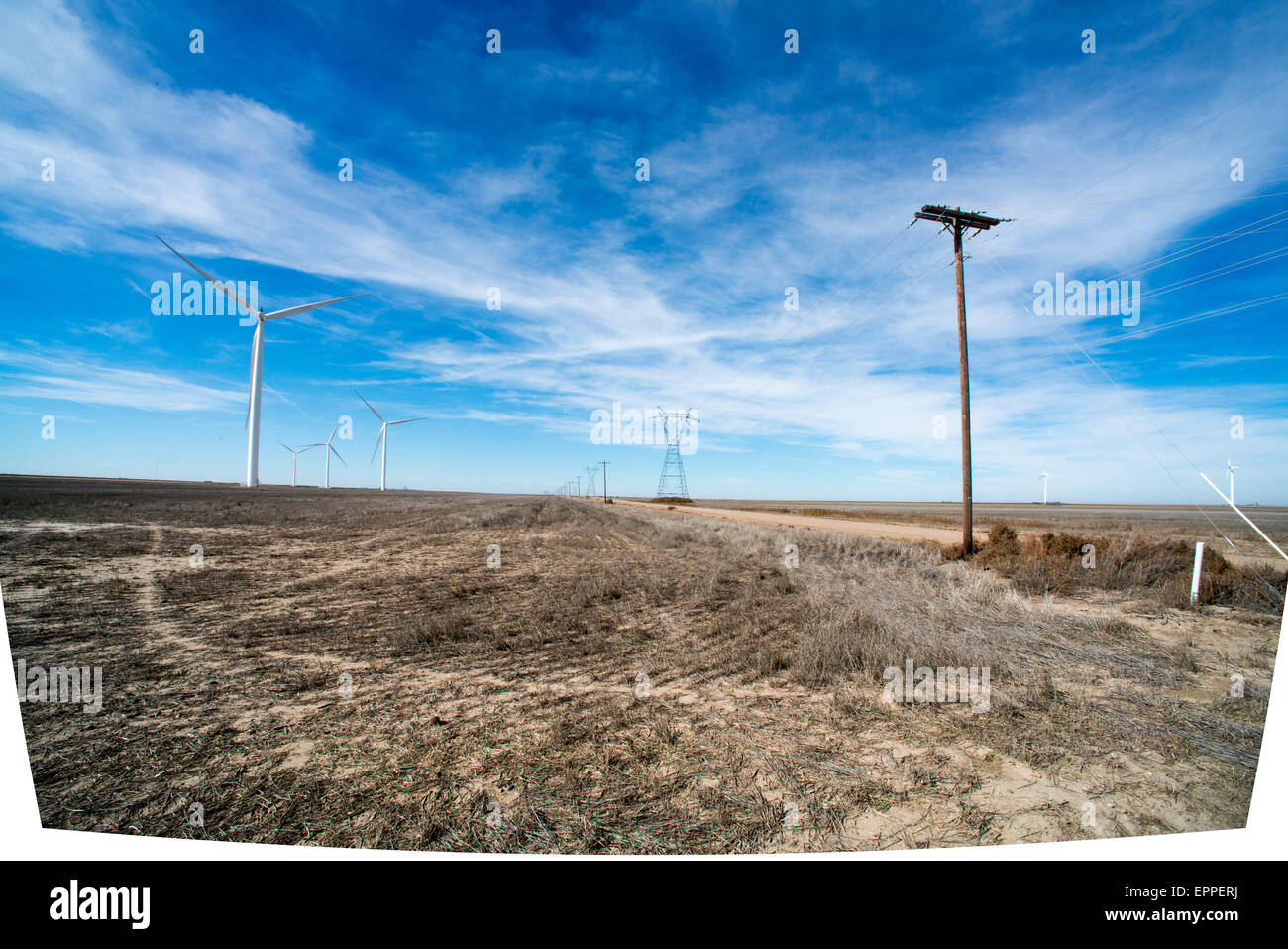 Ingalls, Kansas, WInd turbines and Milo fields Stock Photo - Alamy