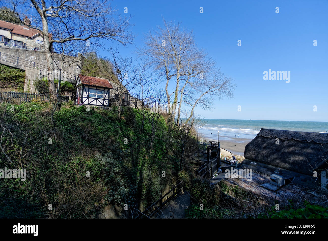 Pleasant walkways punctuate the wooded valley of Shanklin Chine, Isle ...