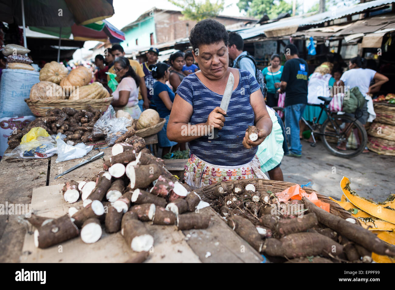 Fresh yuca preparation hi-res stock photography and images - Alamy