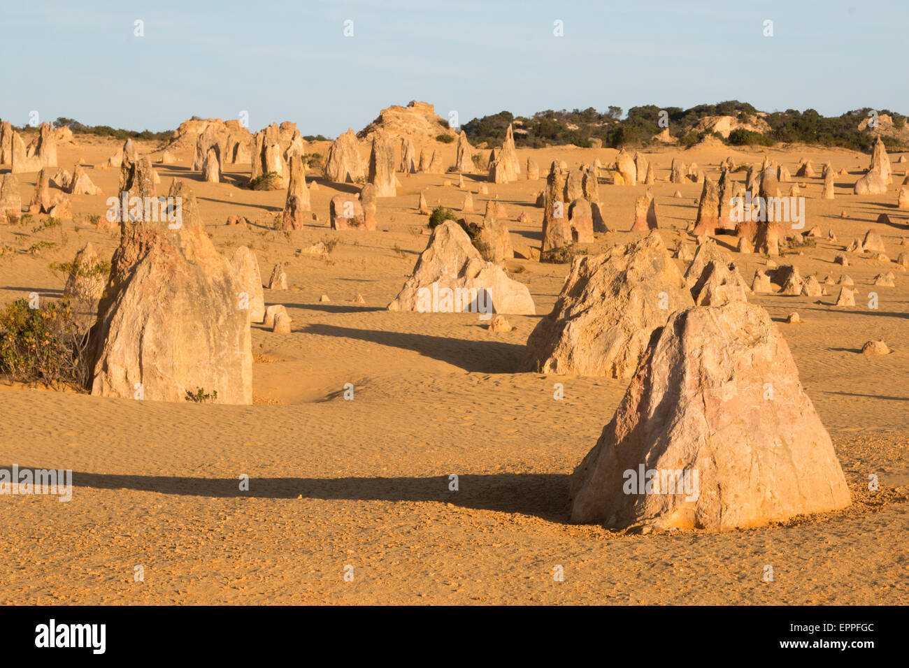The Pinnacles, Western Australia Stock Photo - Alamy